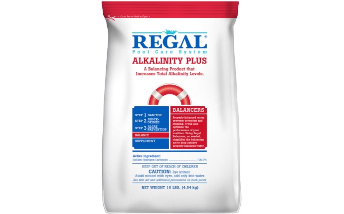 Regal Alkalinity Plus 10lb bag – Gage Pool & Spa
